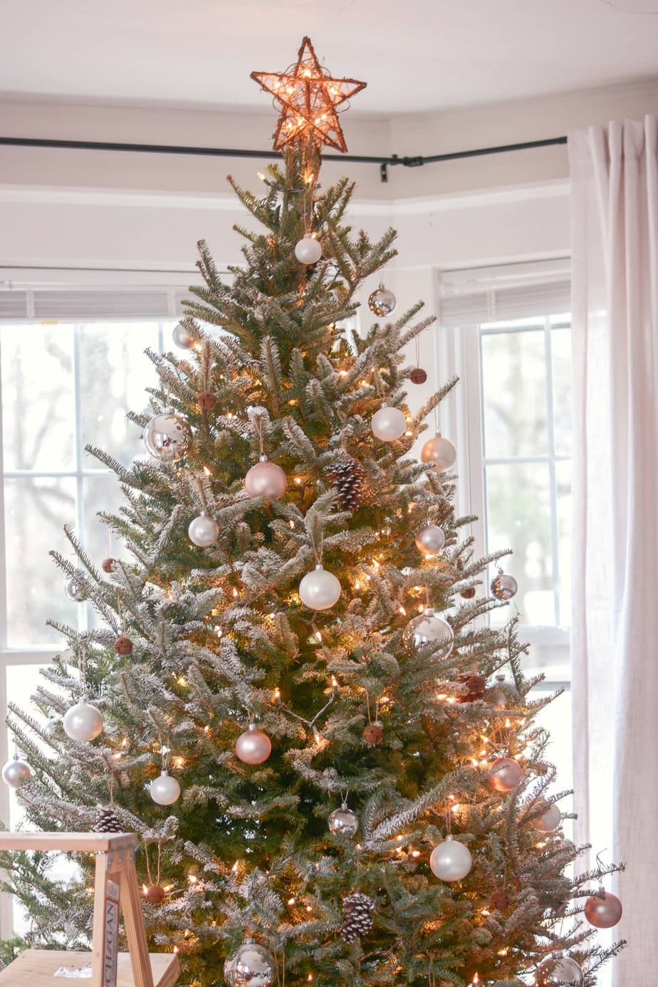 tree flocking 1 (47 of 24)