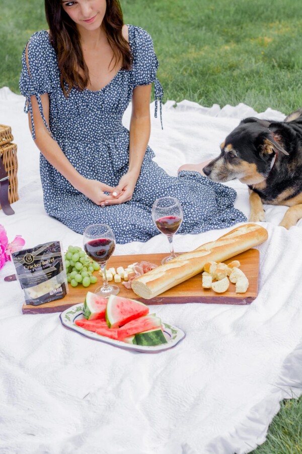 What To Bring To A Picnic: An Easy Picnic Packing List