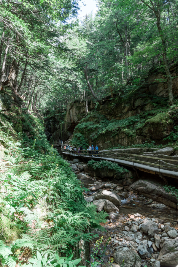 A Complete Guide To Flume Gorge In The Basin | Flume Gorge NH