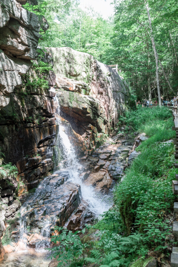 A Complete Guide To Flume Gorge In The Basin | Flume Gorge NH