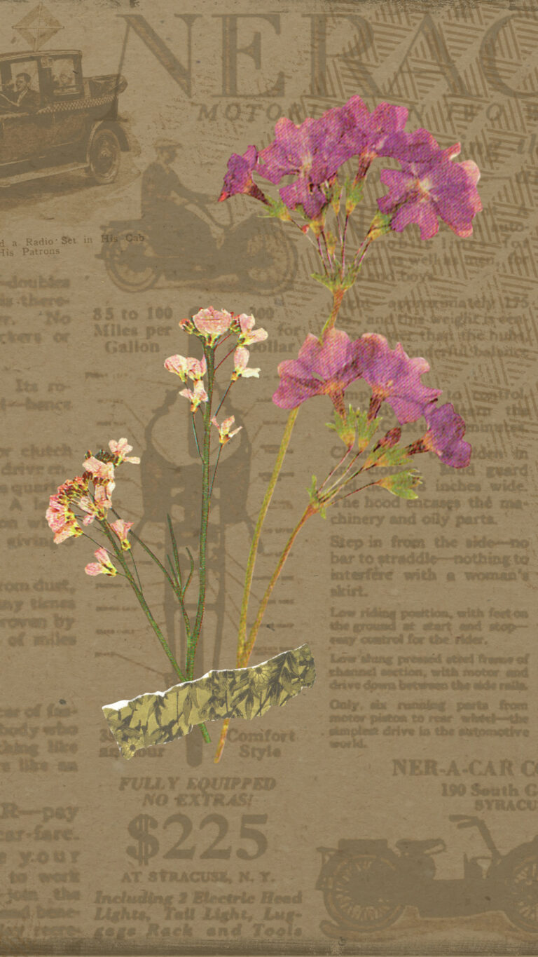 50+ Idyllic Cottagecore Wallpaper For Your iPhone