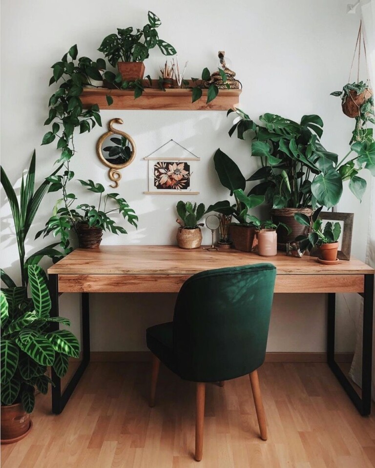 55+ Plant Decor Ideas For A Vibrant Home