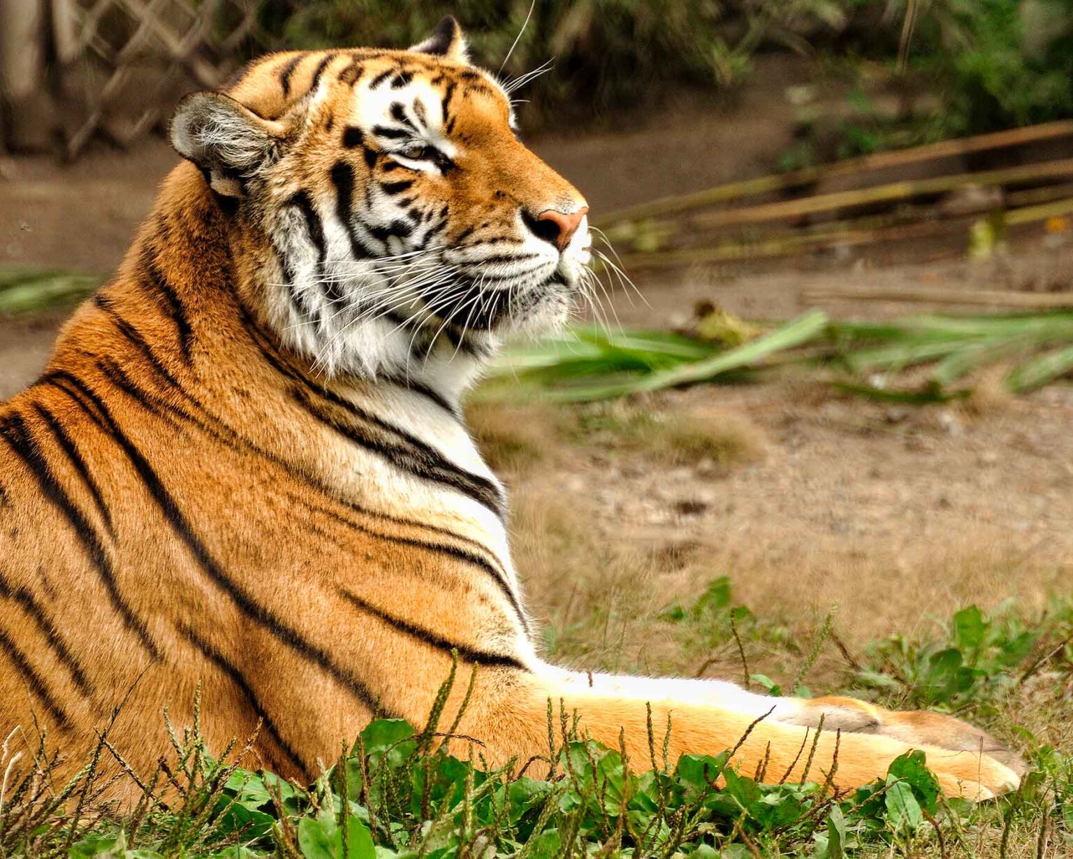 57 Things To Do In Massachusetts: Your Ultimate Bucket List