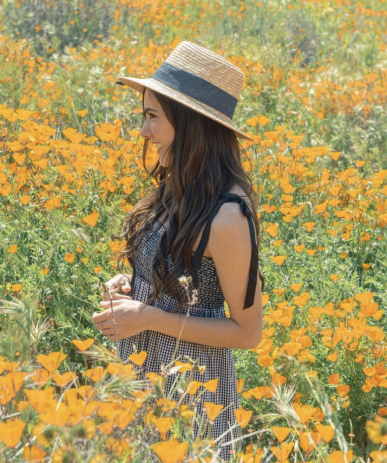 35+ Stunning Flower Fields You Can See Around The World
