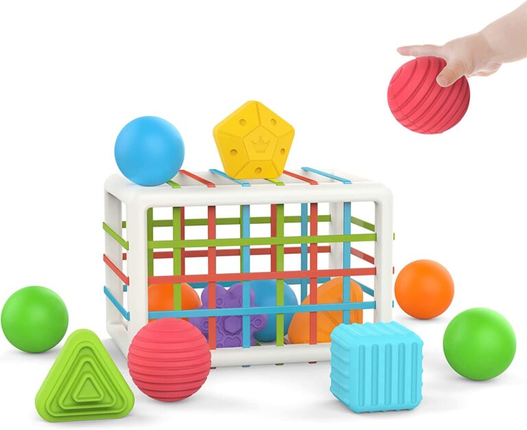 Sorter Toy