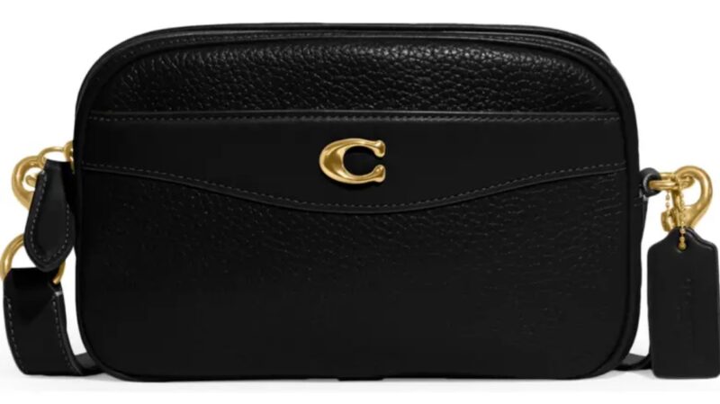 30+ Trending Designer Camera Bags To Shop | Chasing Daisies