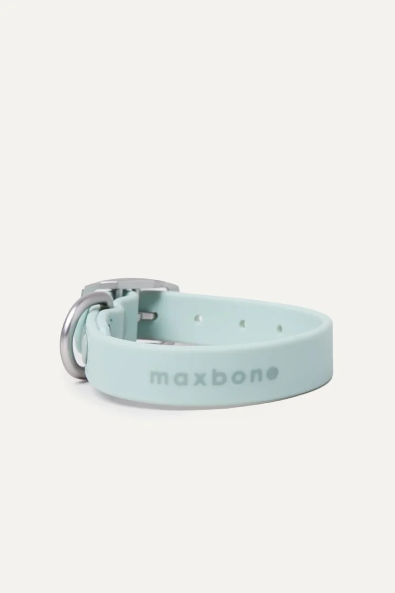 hazel-collar-415418_1000x