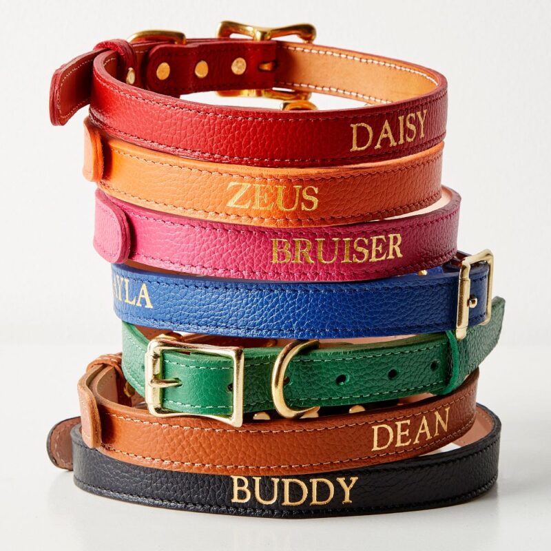 35+ Chic Designer Dog Collars To Shop For Your Pup