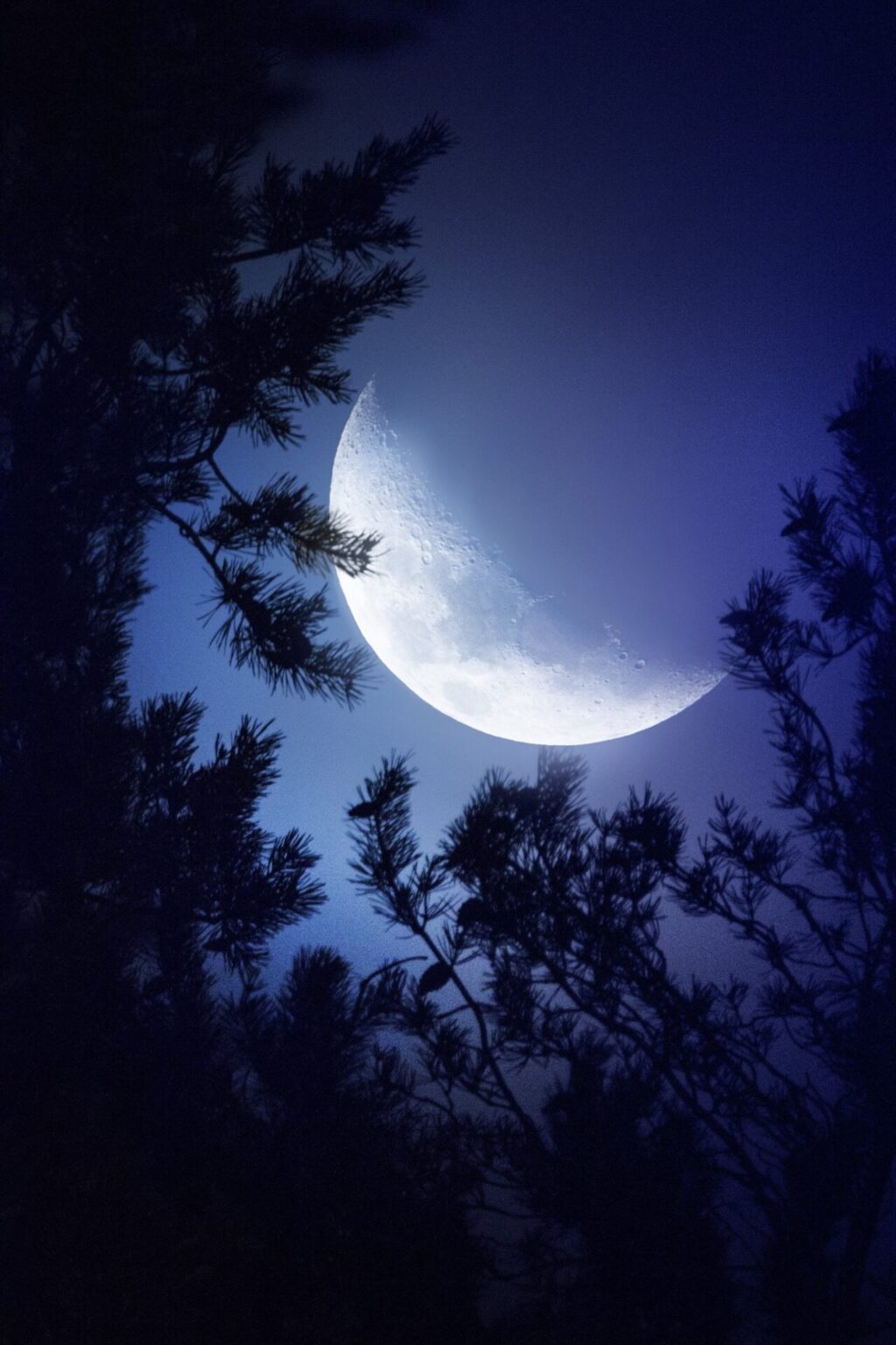 75+ Moon Wallpaper Backgrounds For Your iPhone