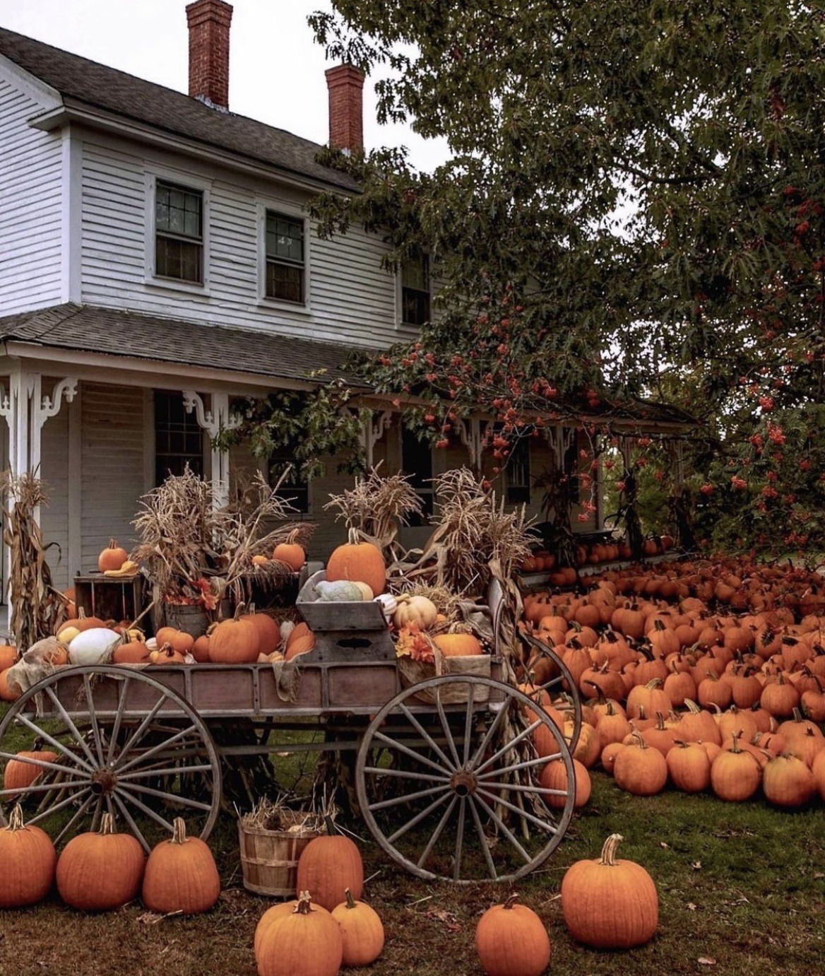 70+ Halloween Aesthetic Pictures To Give You That Spooky Feeling